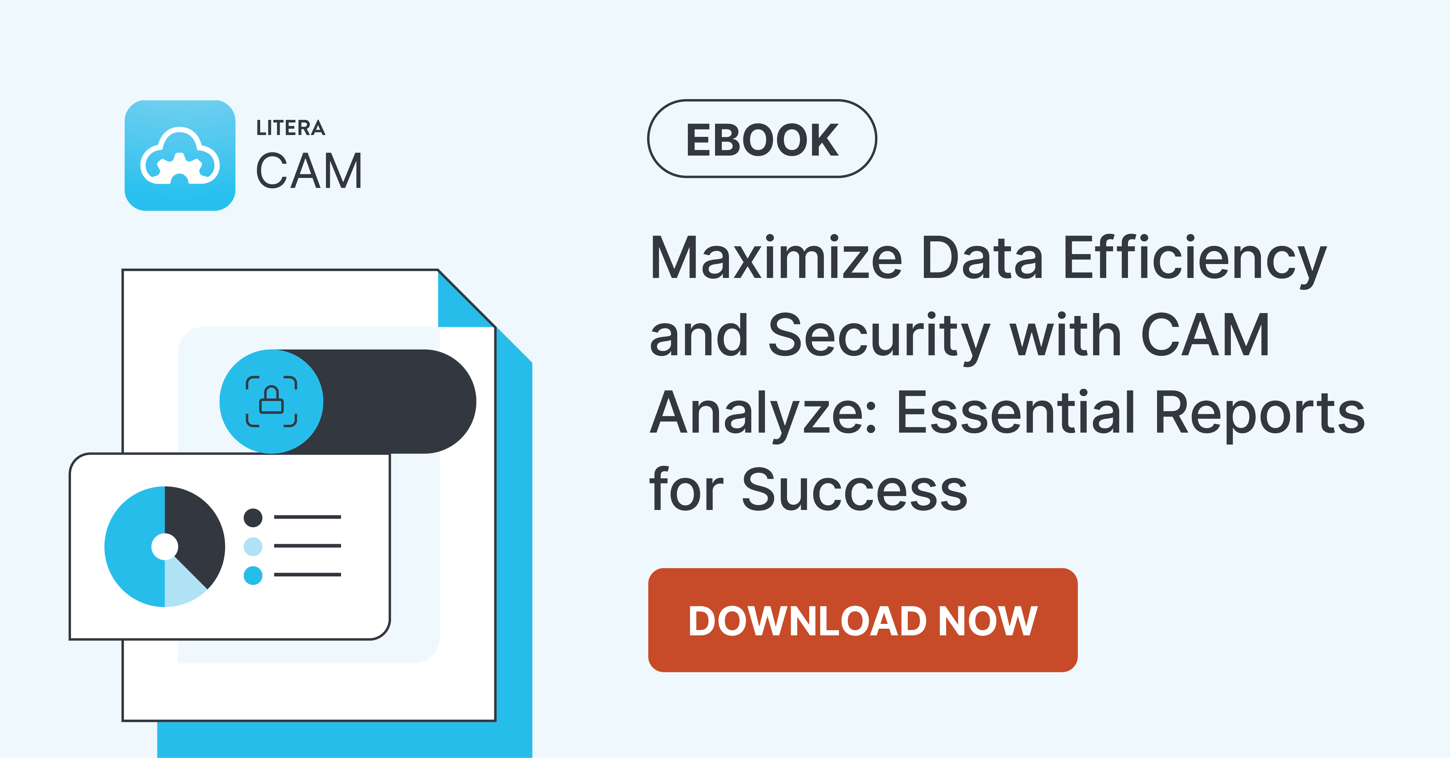 Maximize Data Efficiency and Security with CAM Analyze: Essential ...